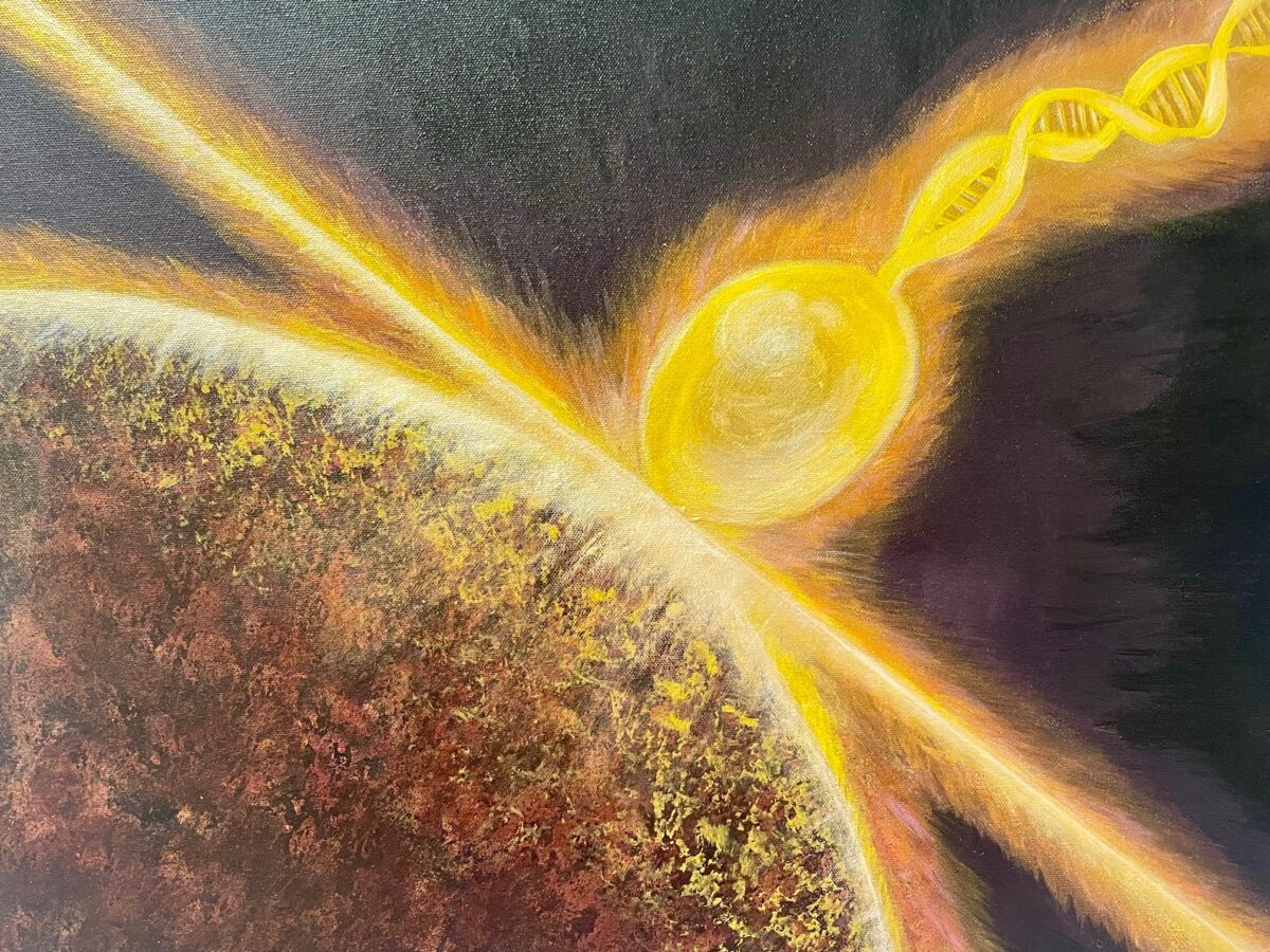 The Meaning of Imago Dei: Reflections on Creation and Individuality ...